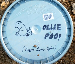 Doggie Septic System | Belle of Dirt